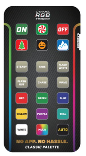 Holidynamics - Dynamic RGB 100w Controller